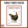 Build a Turkey Worksheet Thanksgiving Printable Set - Speechzella